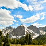 BC Conservation Foundation